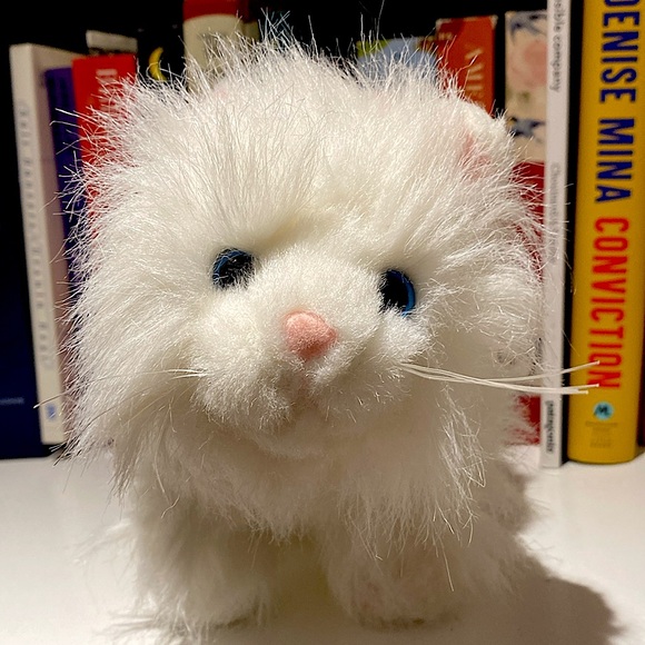 GANZ | Toys | Final Sale Ganz Webkinz Persian Cat Fluffy Soft Stuffed ...